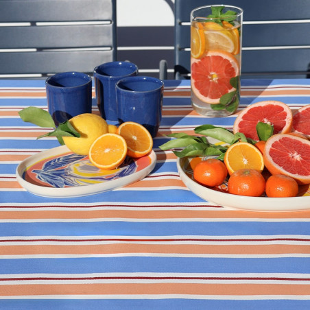 Mètre linéaire Arena Transat laize 168 cm en coton enduit